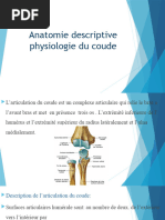 Anatomie et Mouvements du Coude | PDF | Coude | Anatomie humaine