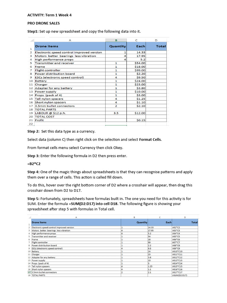 PRO DRONE ACTIVITY-Student - Part2 | PDF | Spreadsheet | Computing