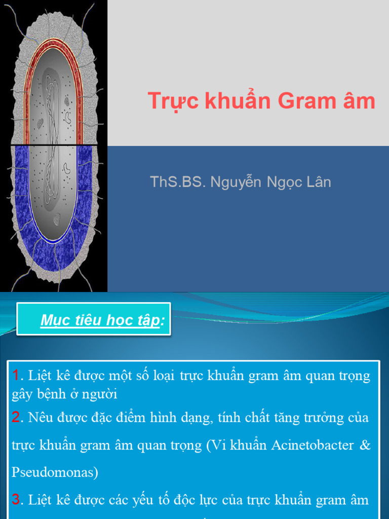 .Trực Khuẩn Gram Âm | PDF