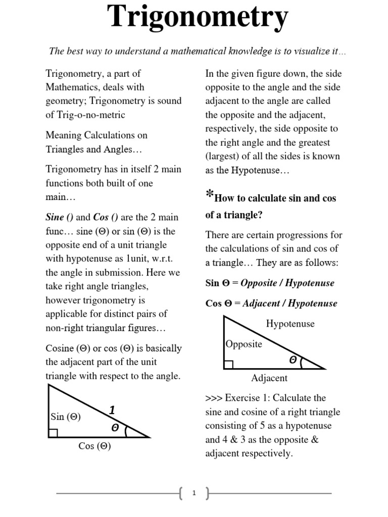 TRIGNOMETRY | PDF | Trigonometric Functions | Trigonometry