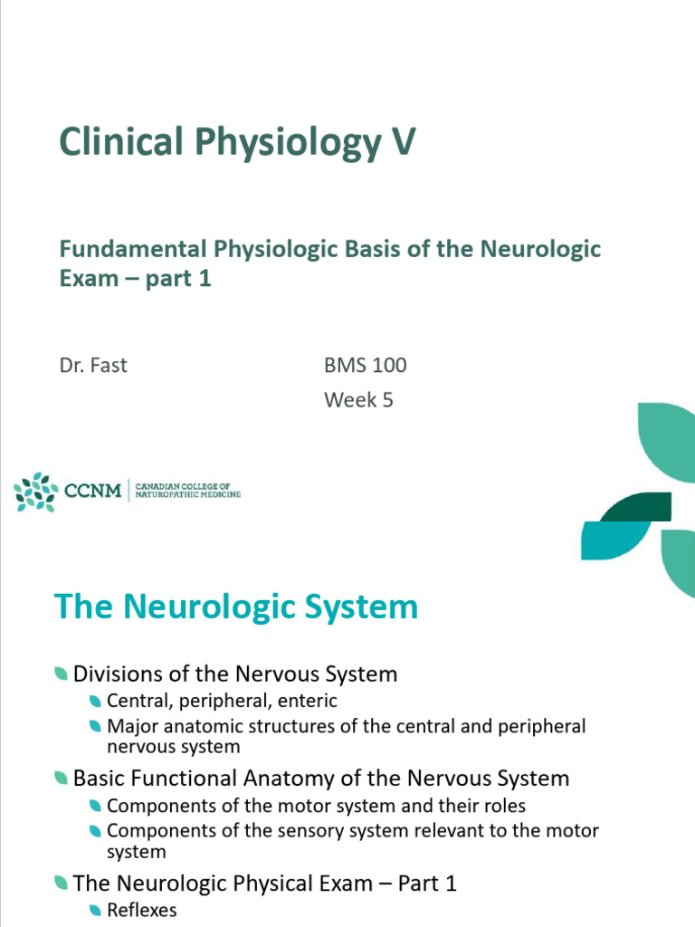 CP5 - 5 - Neurological System P1 | PDF | Nervous System | Central Nervous System