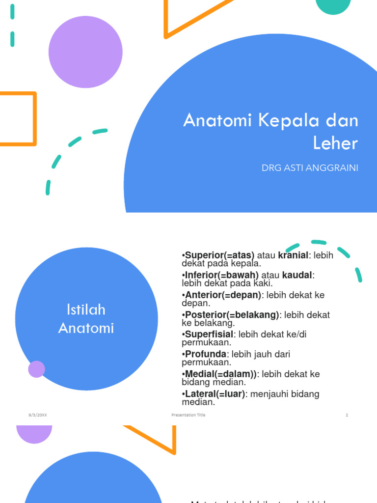Anatomi Kepala & Leher: Istilah & Struktur | PDF