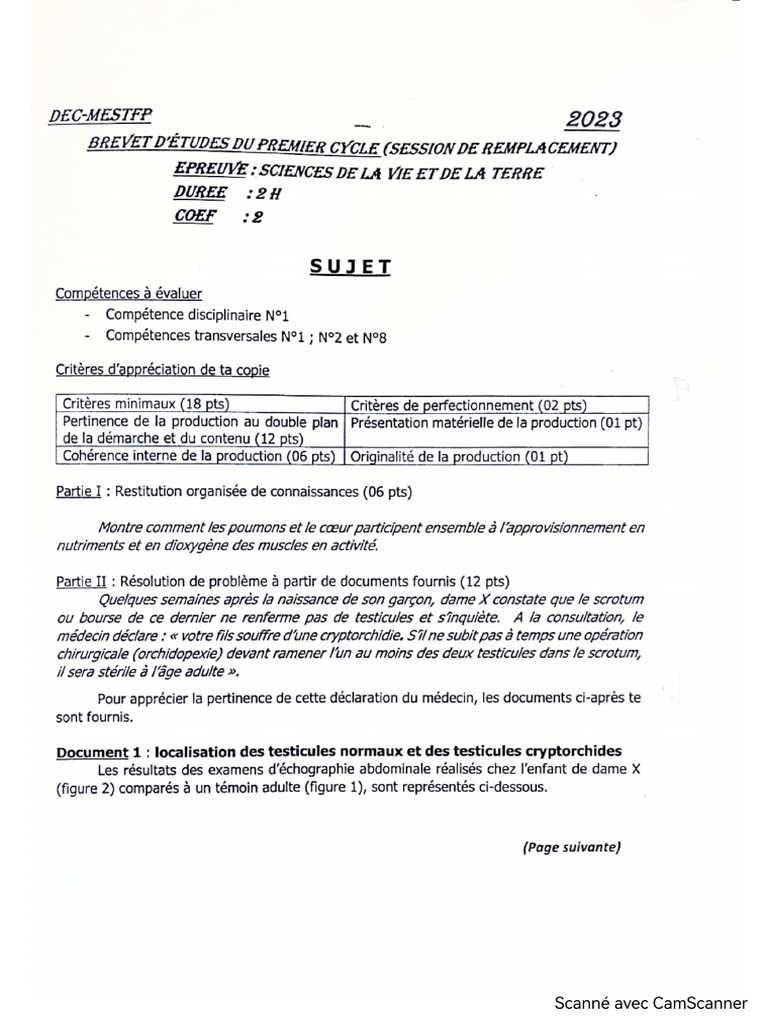 Bepc 2023 SVT Rempl | PDF