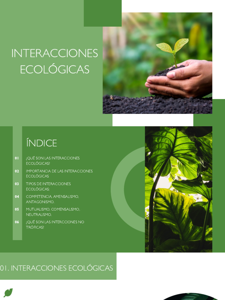 Interacciones Ecológicas | PDF | Ecología | Biología