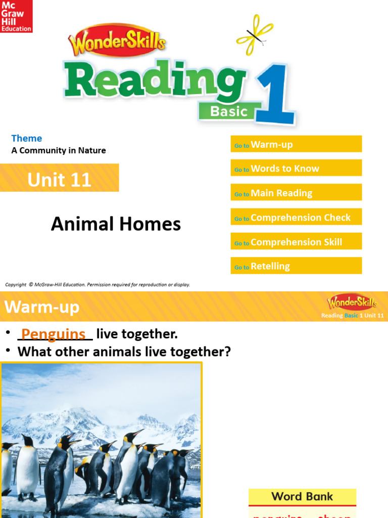 WonderSkills PPT Basic 1 Unit 11 | PDF