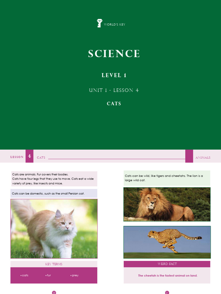Science: Level 1 | PDF | Cats | Birds
