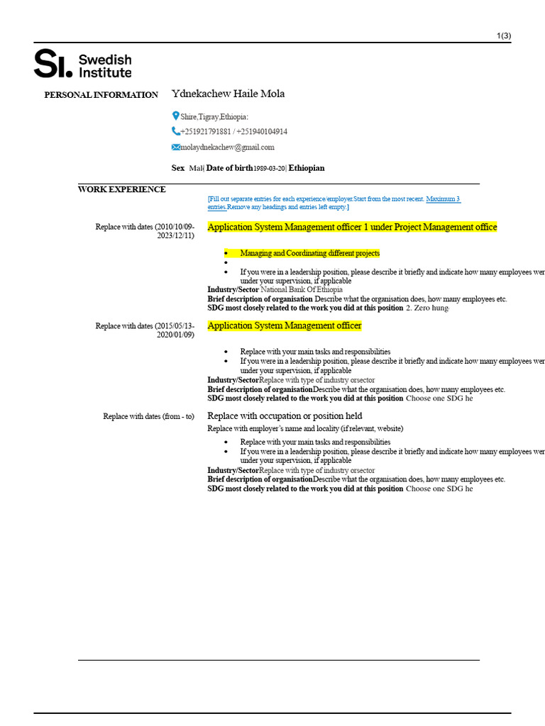 1.cv Sisgp 2024 - 2025 | PDF