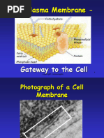 FOSFA List of Acceptable Previous Cargoes Jan 2024 With Flowchart | PDF ...