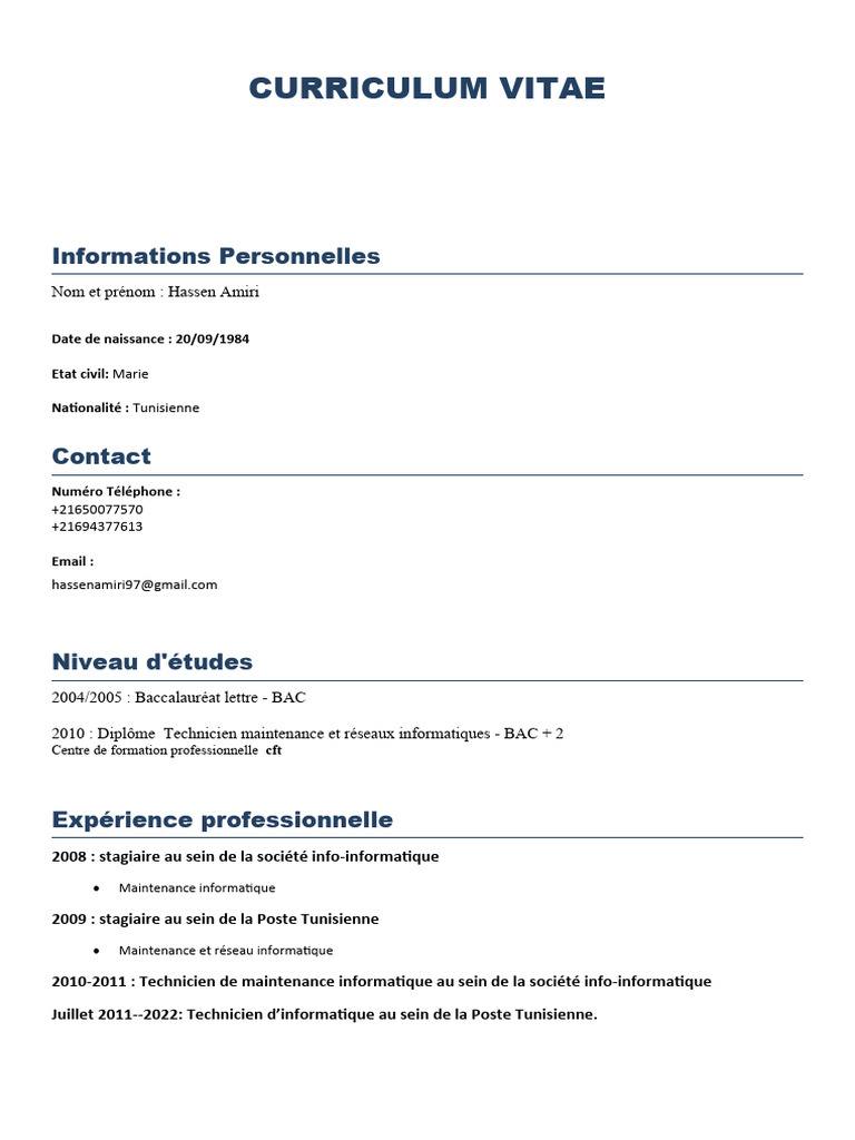 CV Hassen Amiri | PDF