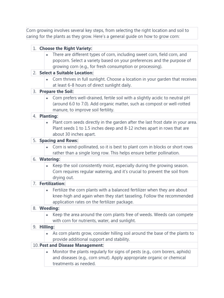Growing A Corn | PDF | Maize | Soil