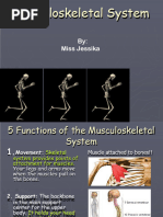 Mind Map. Skeletal System | PDF | Bone | Skeleton
