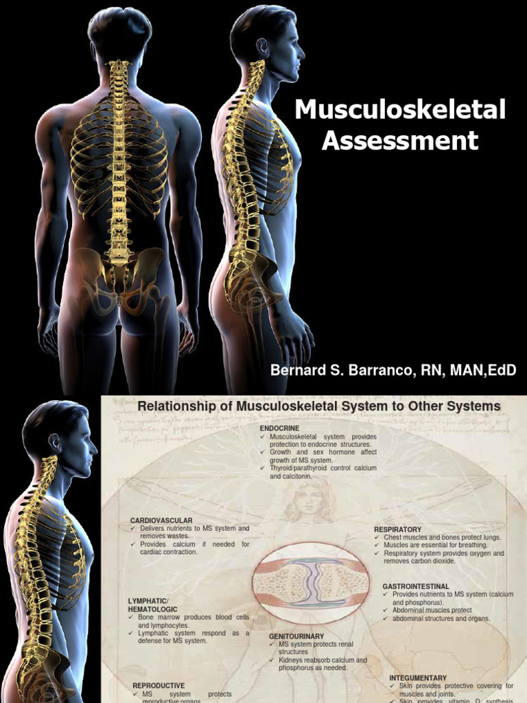 5 - Musculoskeletal Assessment | PDF | Anatomical Terms Of Motion | Foot
