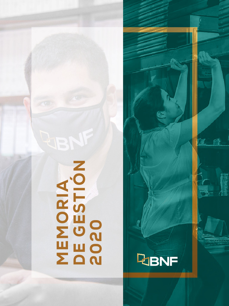 Memoria y Balance 2020 BNF | PDF