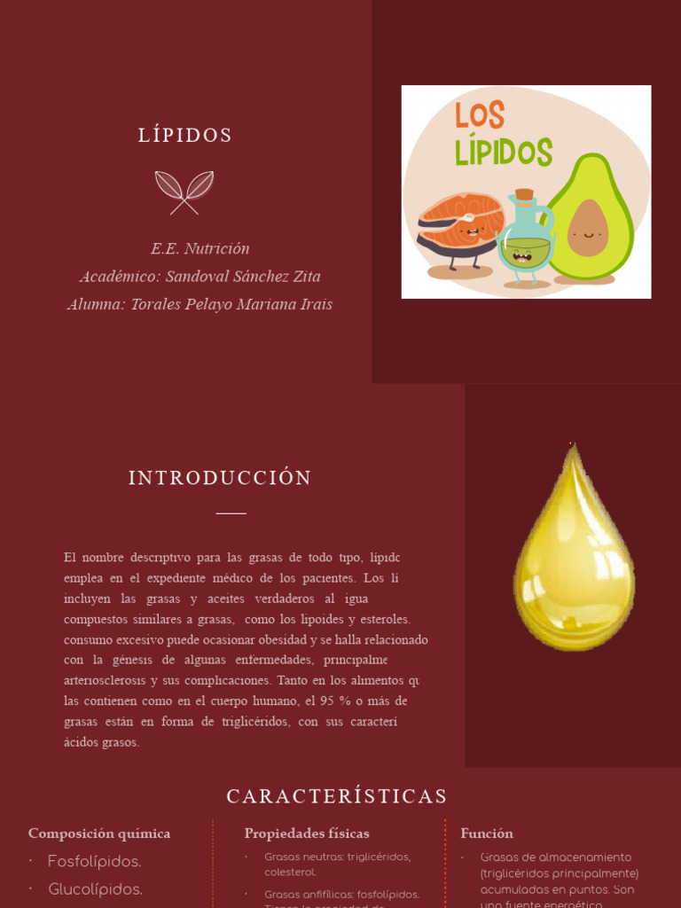 3. Lipidos_ToralesPelayo | PDF | Lípido | gordo