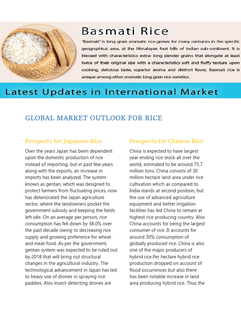 Basmati Report | PDF | Rice | Agriculture