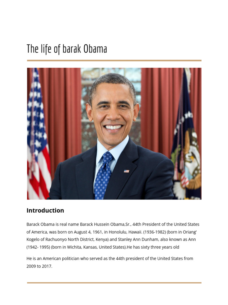 Rapport | PDF | Barack Obama | Democratic Party (United States)