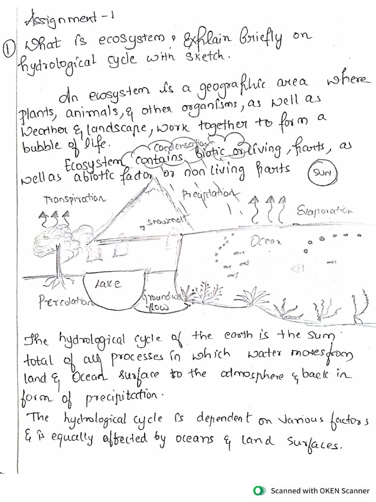 Environment Studies Assignment | PDF