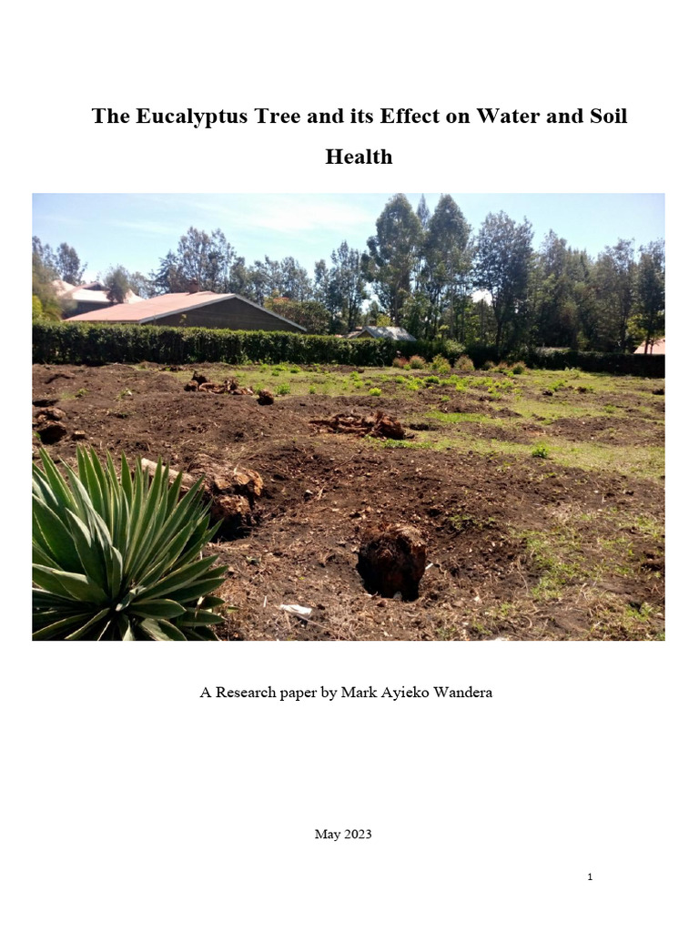 The Eucalyptus Tree and Its Effect On Water and Soil Health - A Research Paper by Mark Ayieko ...