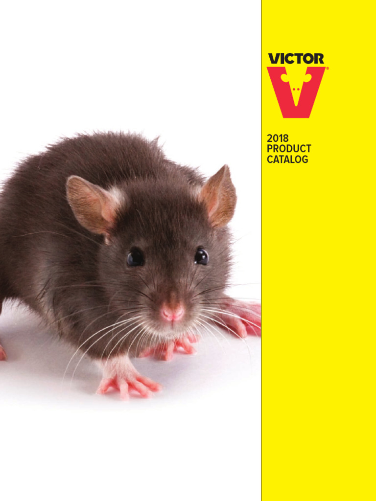 Victor Catalog 2018 | PDF | Ultrasound | Mouse