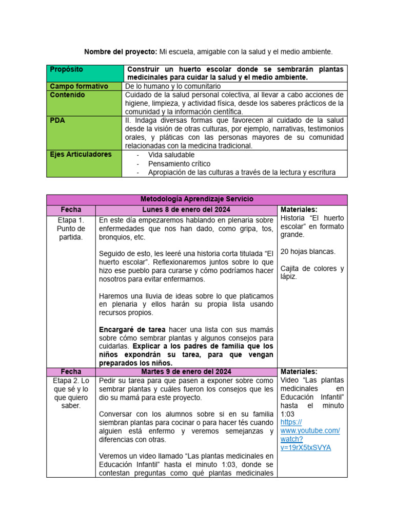 Proyecto Mi Escuela, Amigable Con La Salud y El Medioambiente | PDF