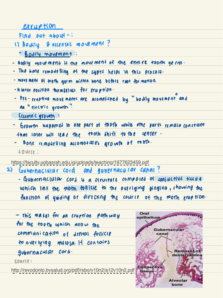 Oral Bio Question Simple | Download Free PDF | Tooth | Human Anatomy