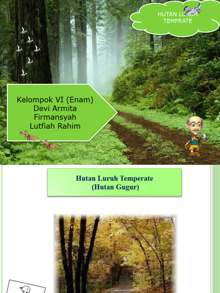 PPT. Ektum (Hutan Luruh (Gugur) | PDF | Griya & Taman