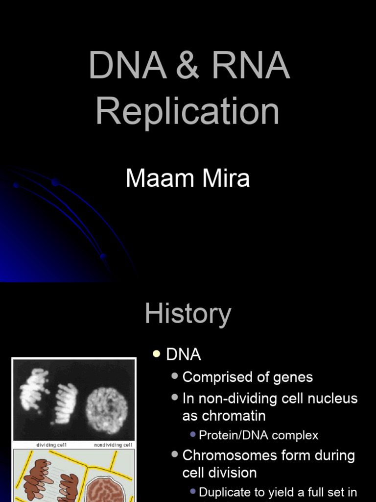 DNA & RNA Replication Guide | PDF | Dna Replication | Dna