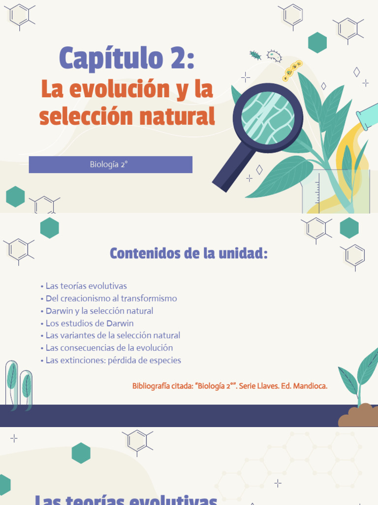 Evolución y selección natural en biología | PDF | Evolución | Seleccion ...