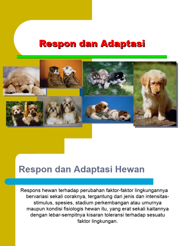 Respon Dan Adaptasi | PDF | Pengembangan Diri | Kesehatan Holistik