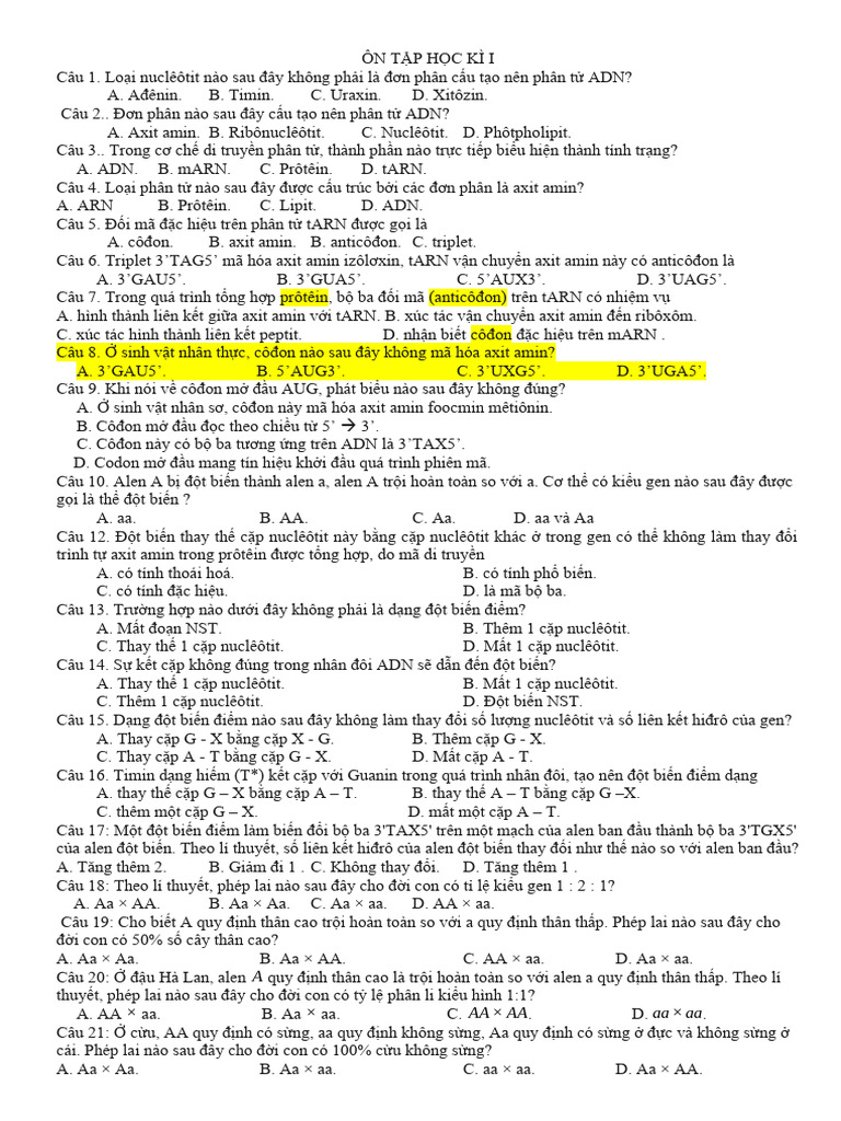 Đề Cương Sinh 12 Cki | PDF