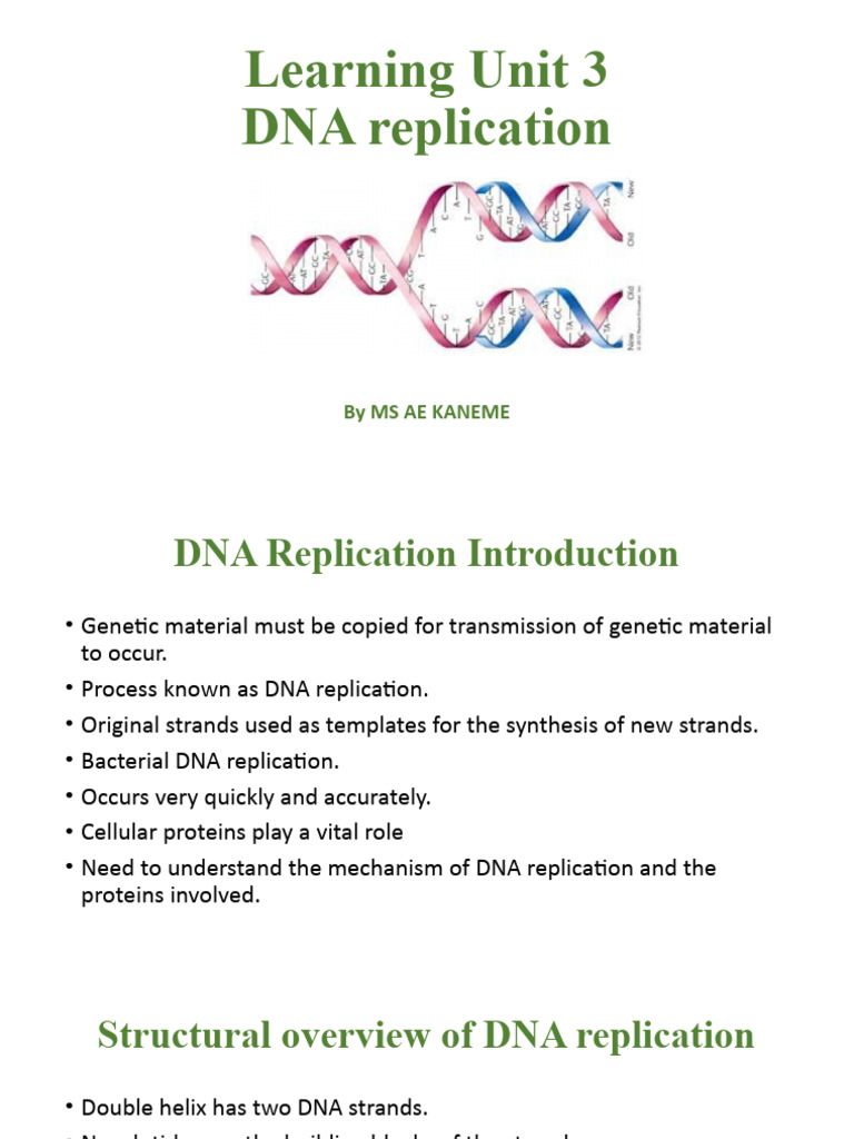Learning Unit 3 - PART 2 - DNA Replication | Download Free PDF | Dna ...