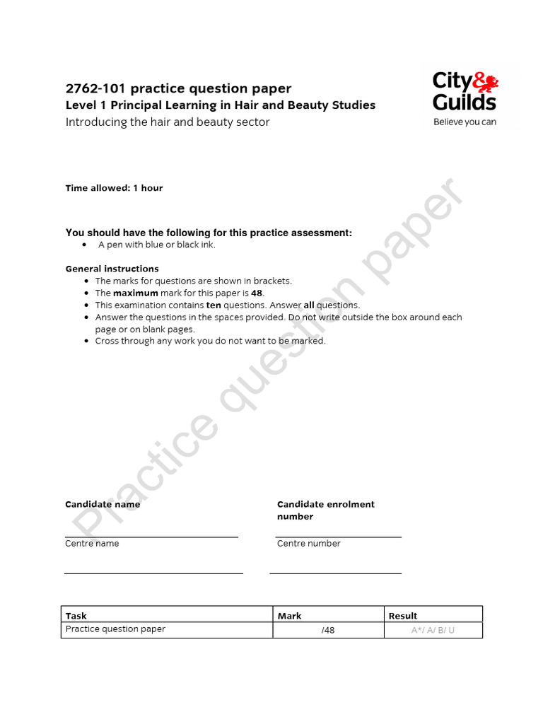Level 1 2762 101 Practice Question Paper | PDF | Workplace | Working ...