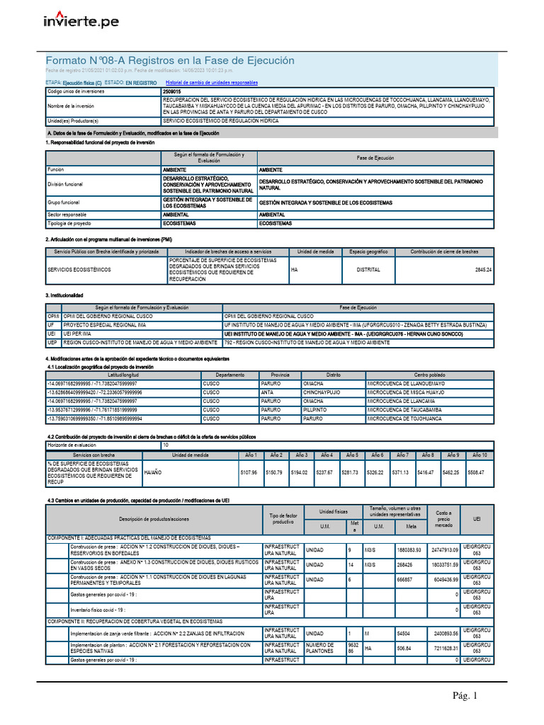 Formato 8a Registro En Fase De Ejecucion | Pdf | Creación De Capacidad 