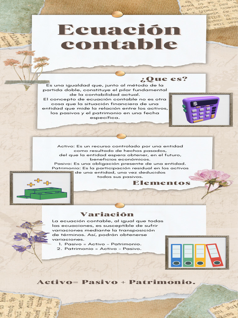Infografia Ecuacion Contable | PDF