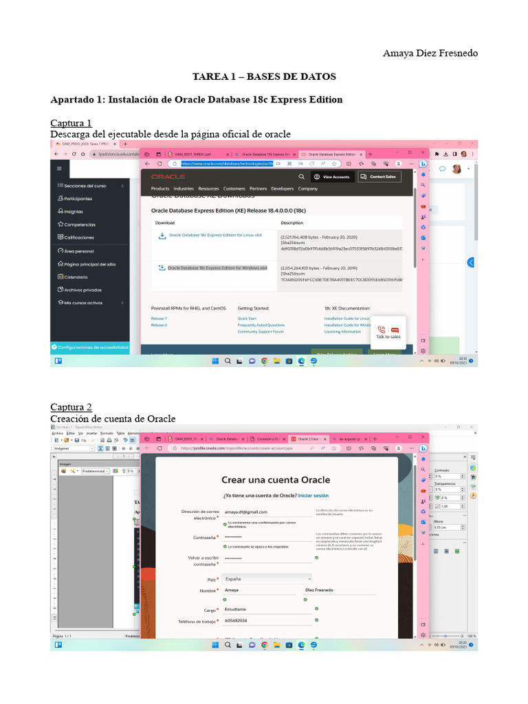 Base de Datos Tarea 1 | PDF | Usuario (informática) | Bases de datos