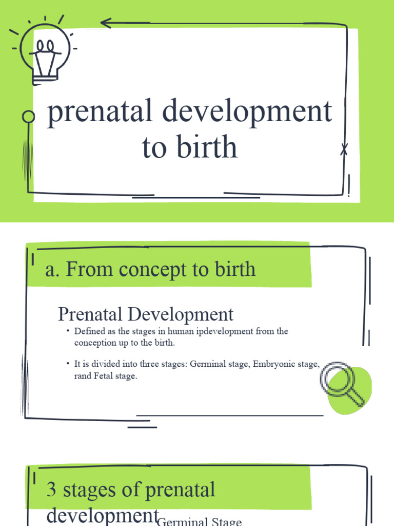 Prenatal Development | PDF | Childbirth | Prenatal Development