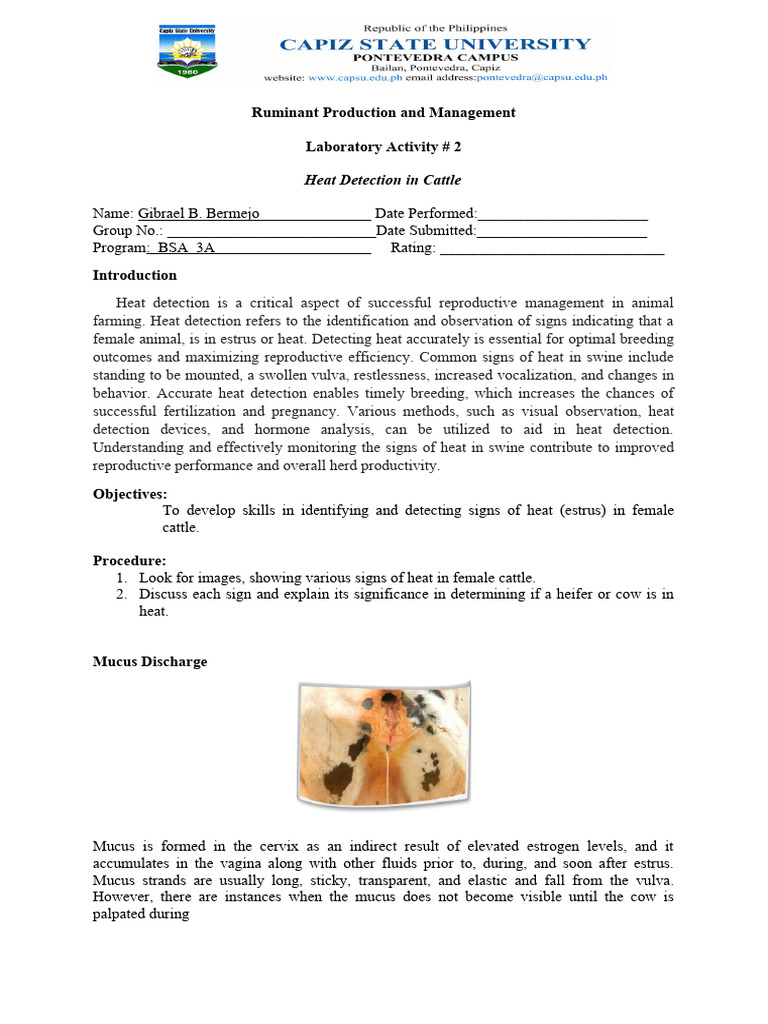 Laboratory 2 Ruminant Prodn MGMT | PDF