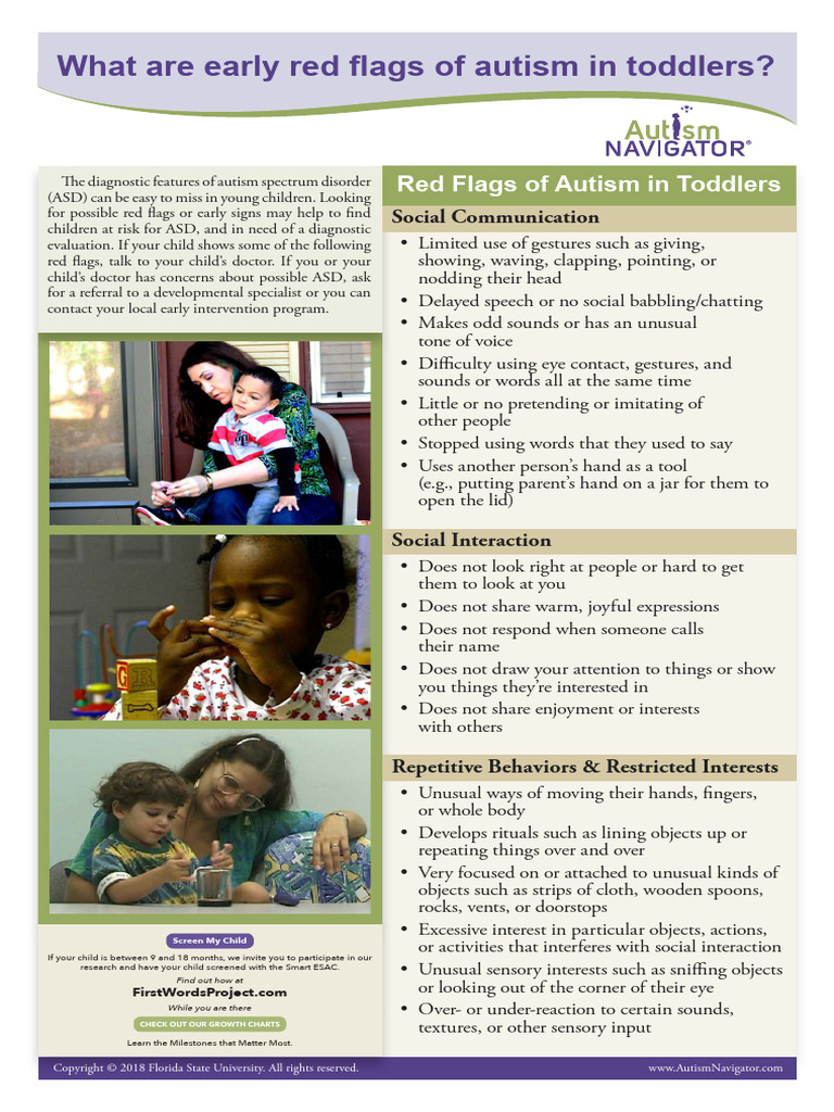 Early Red Flags of Autism Poster 11x17 | PDF