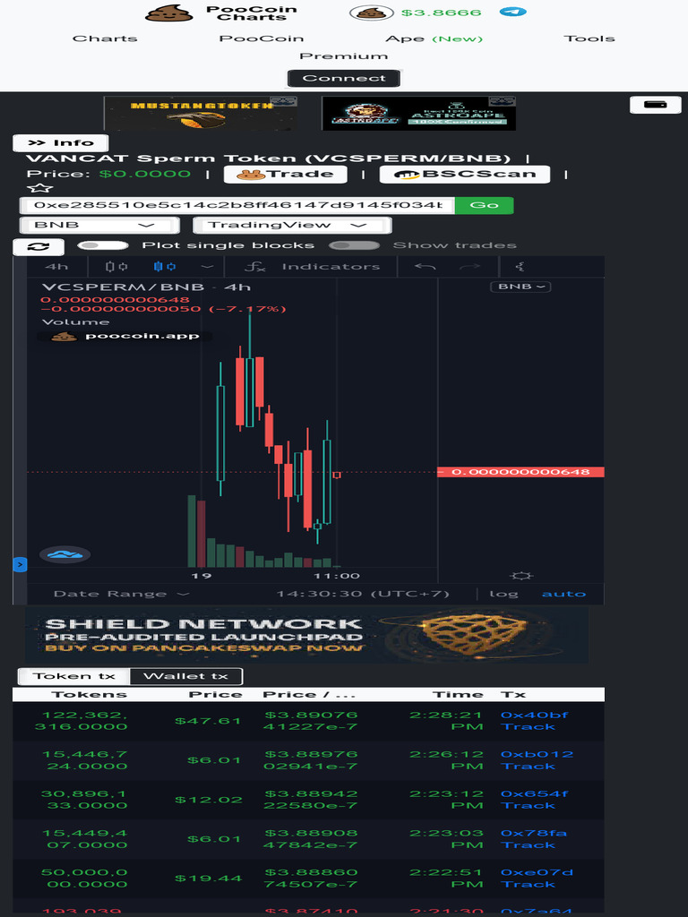 PooCoin BSC Charts | PDF