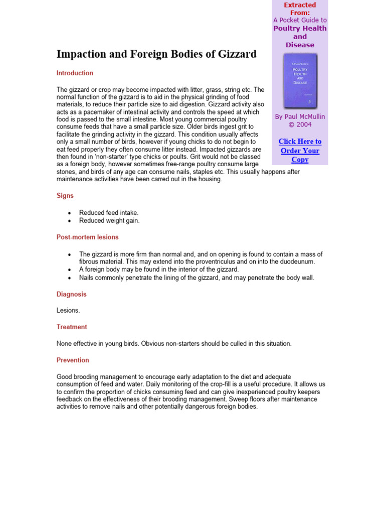 Impaction and Foreign Bodies of Gizzard | PDF | Birds | Poultry