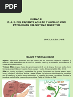 FRUTENZIMA: Usos y Beneficios Clínicos | PDF | Páncreas | Órgano (anatomía)