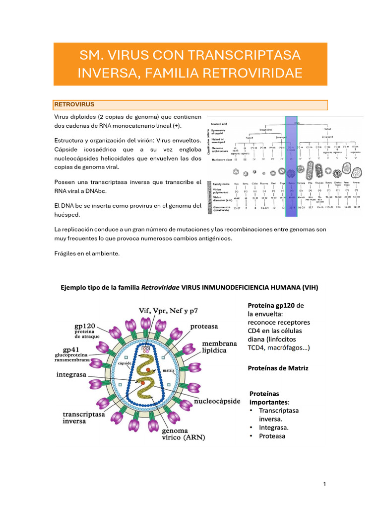 Sm. Virus Con Transcriptasa Inversa, Familia Retroviridae: Retrovirus ...
