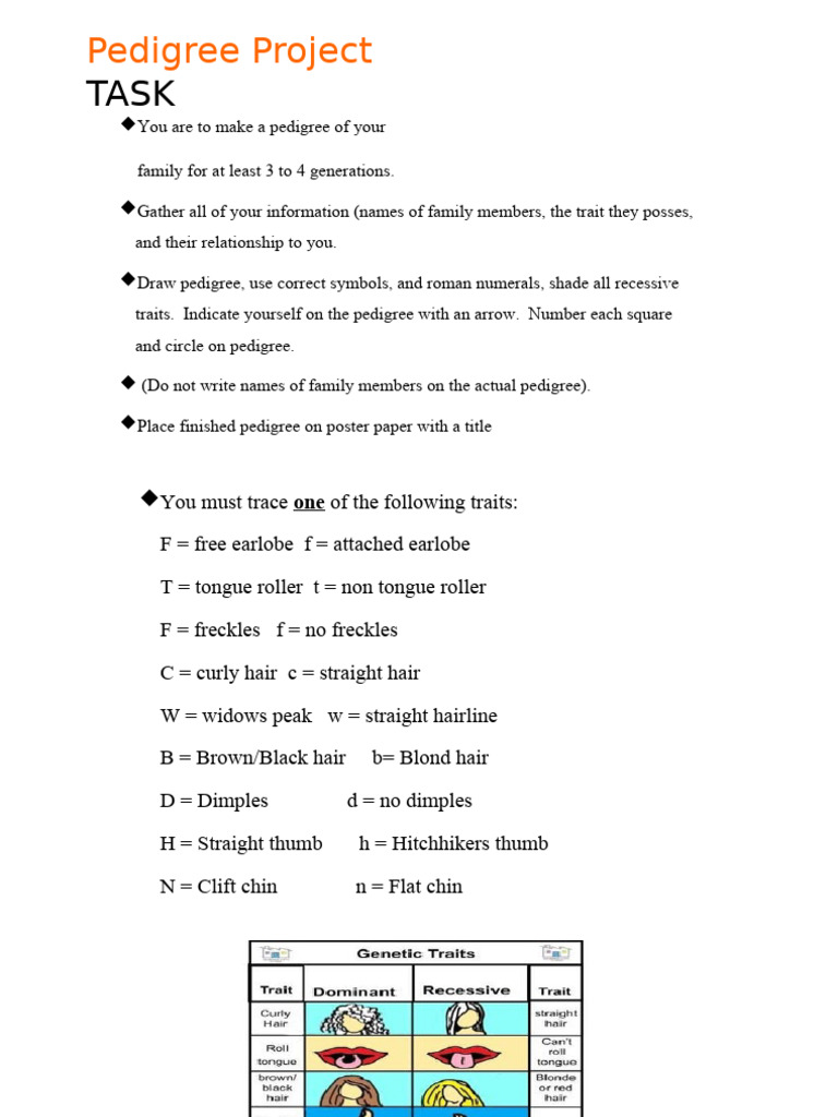 Family Pedigree Project Guide | PDF | Language Arts & Discipline