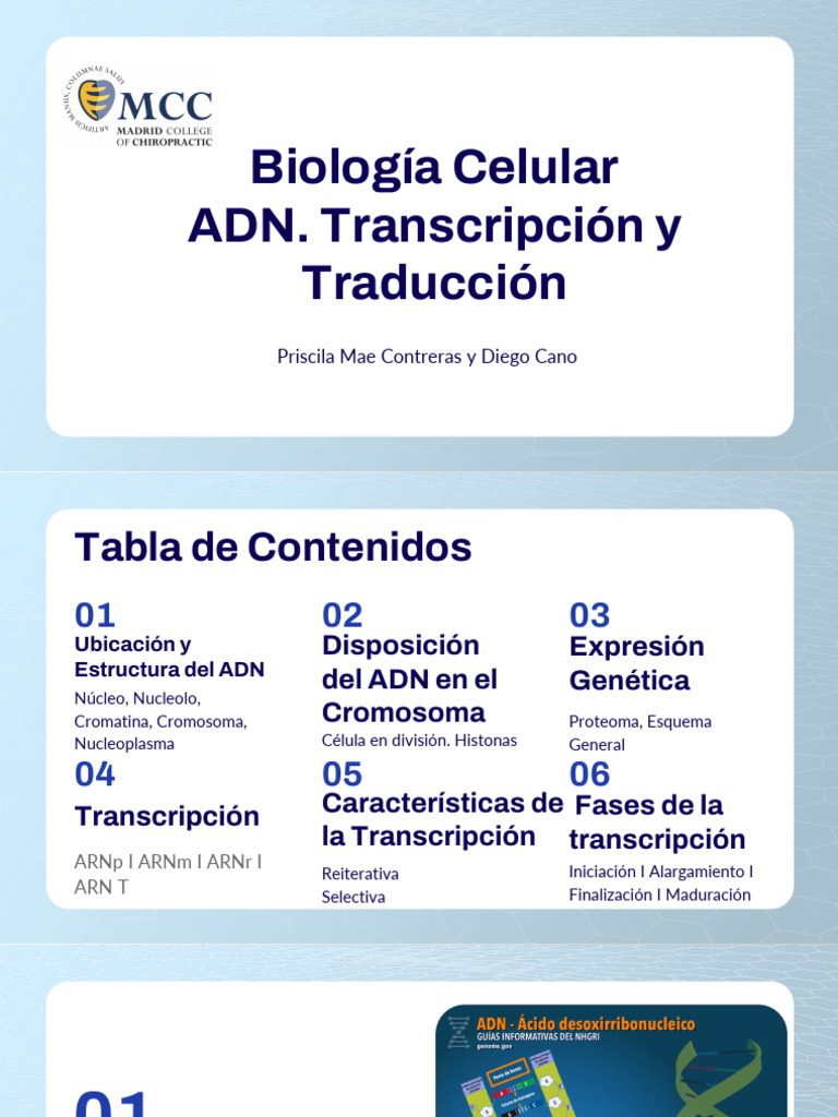 Transcripción y Traducción Celular | Descargar gratis PDF | Adn | Rna
