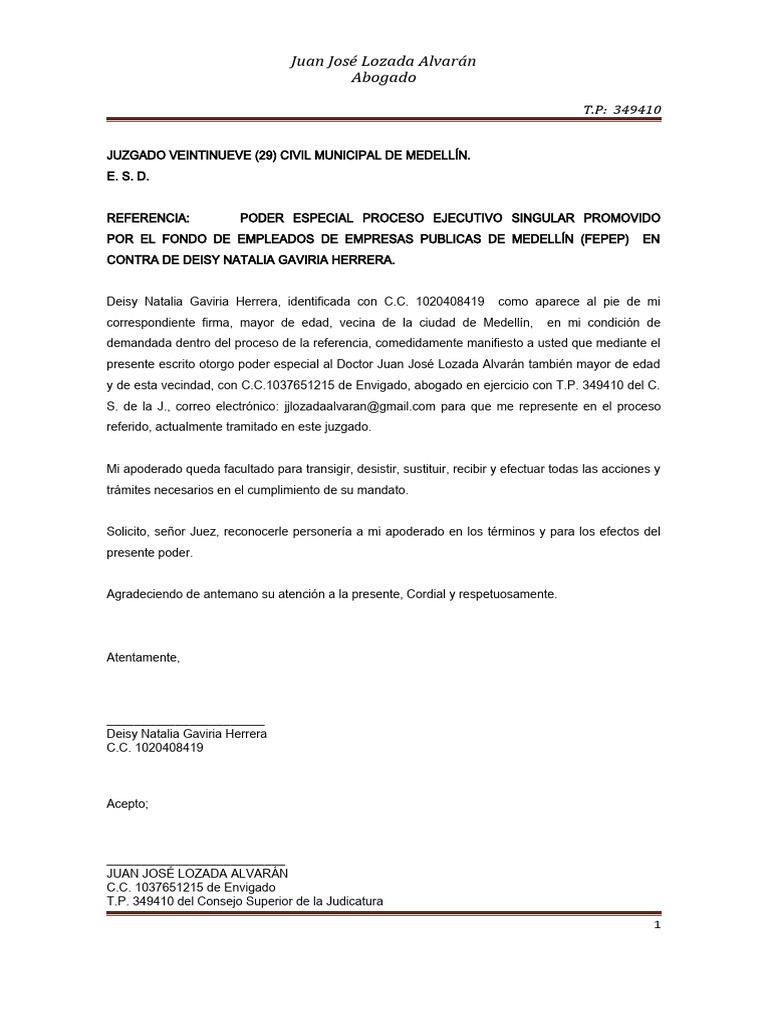 Poder Especial en Proceso Judicial Medellín | PDF
