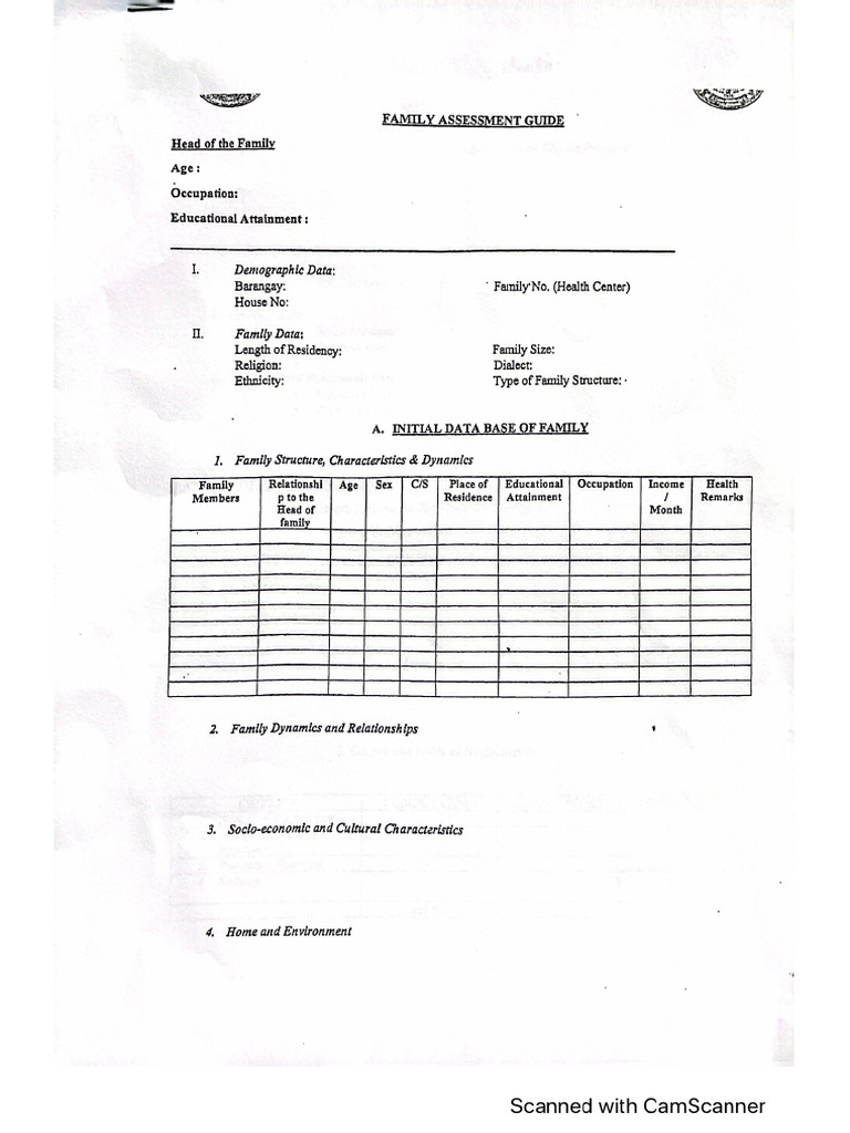 Family Assessment Guide | PDF