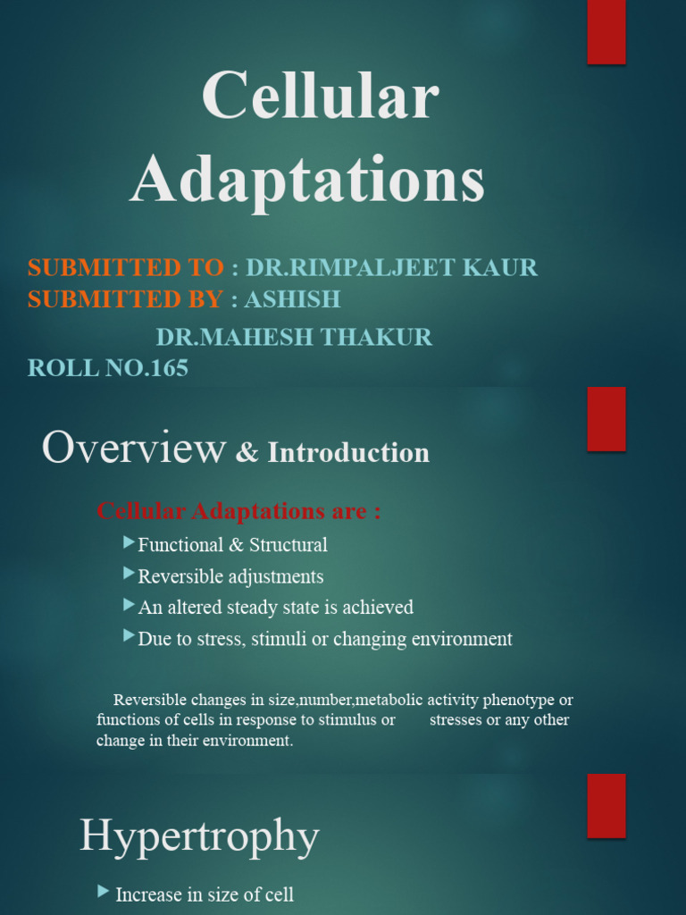 Cellular Adaptations | PDF | Epithelium | Atrophy