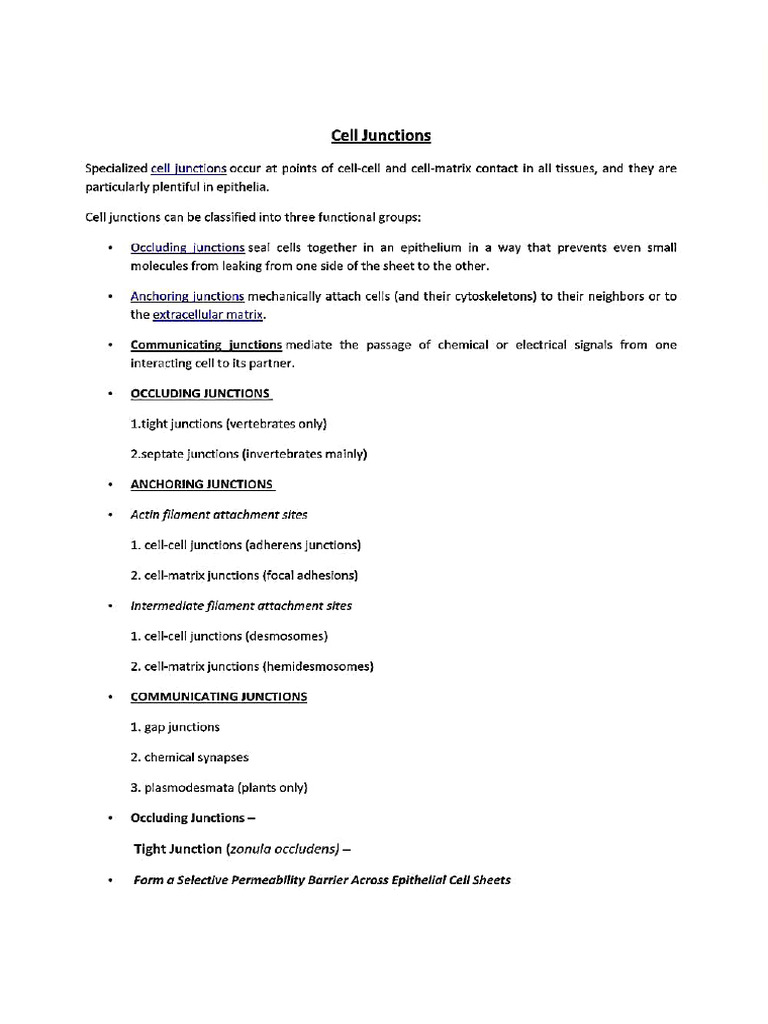 Cell Junction Pdf