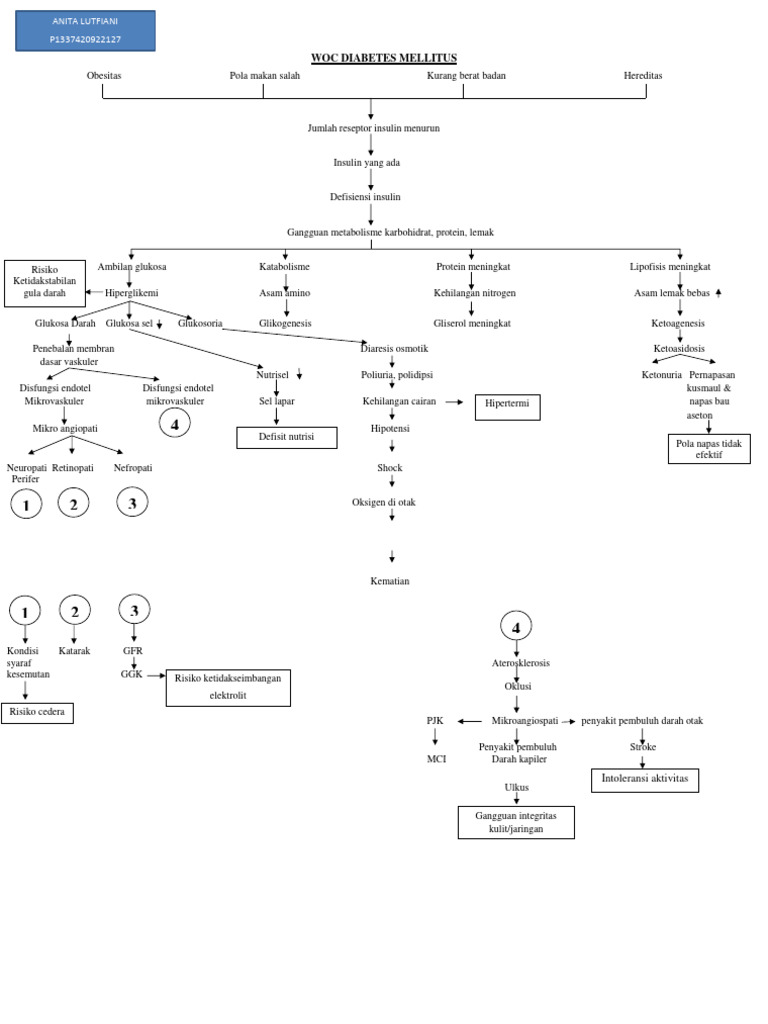 Woc DM Minggu 4 | PDF