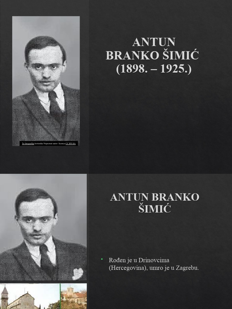 Antun Branko Šimić | PDF
